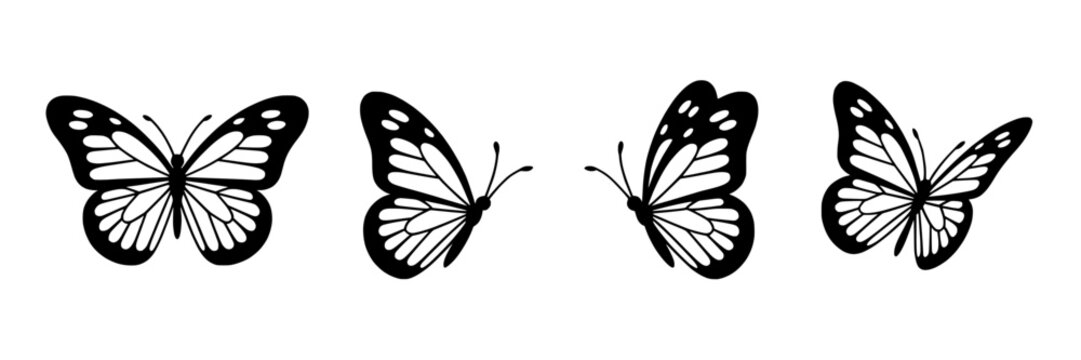 Monarch Vector - Images et vidéos libres de droits | Adobe Stock