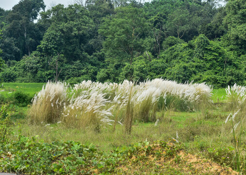 Kashful Images – Browse 412 Stock Photos, Vectors, and Video | Adobe Stock