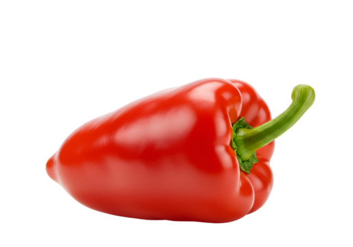 Basic Facts PNGs – Transparent Background Images | PikWizard