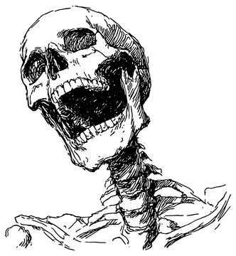 skeleton sketch head