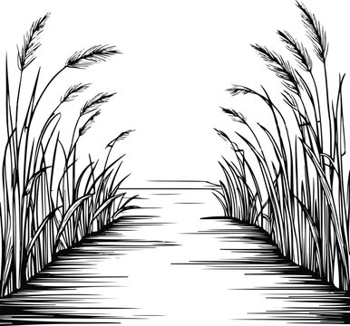 Kashful Images – Browse 412 Stock Photos, Vectors, and Video | Adobe Stock