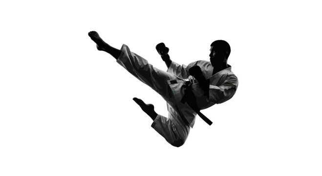 Flying Kick