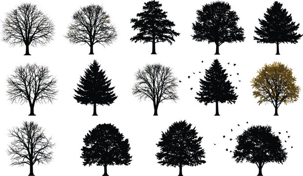 tree winter silhouette