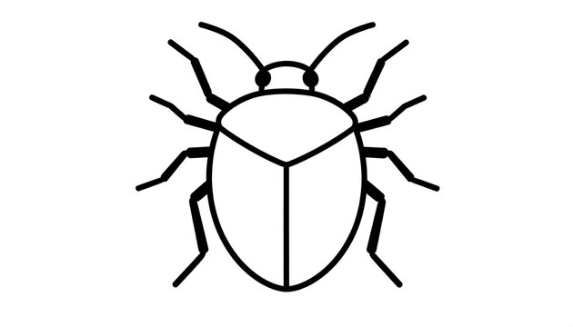 Animal Body Structure Images – HD & 4K Photos Free to Download | PikWizard