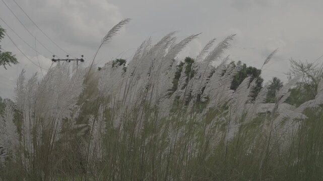 Kna Landscape Stock Videos – 2 HD & 4K Footage Clips | Adobe Stock