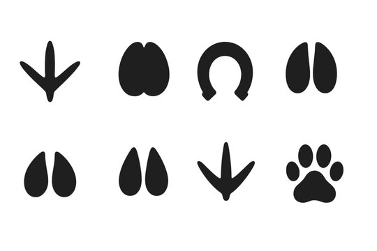 Chicken Tracks Images – Browse 4,392 Stock Photos, Vectors, and Video ...
