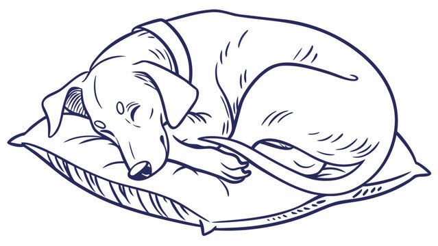 sleeping dog drawing reference