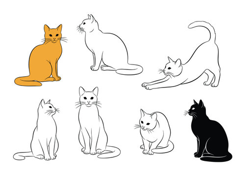 cat standing drawing