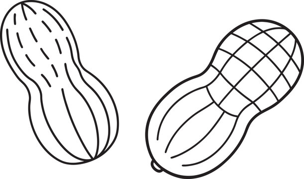 peanut coloring picture
