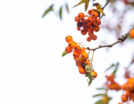 Rubab Rana photos, images, assets | Adobe Stock