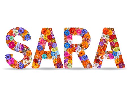 sara name logo