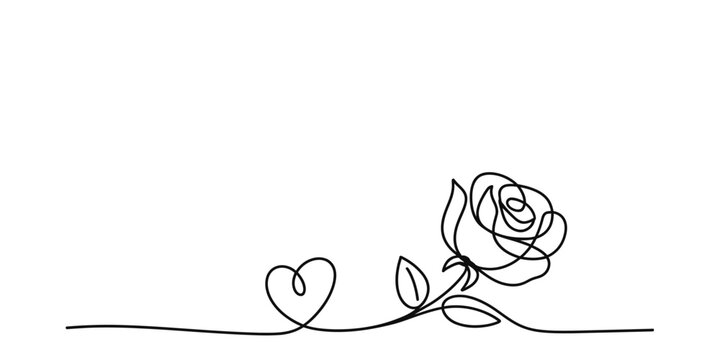 white rose draw pictograms