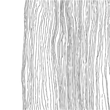 tree bark line drawing