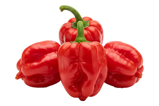 Bhut Images – Browse 1,096 Stock Photos, Vectors, and Video | Adobe Stock