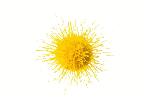 Yellow Splash With Drops Isolated Images – Browse 209,490 Stock Photos ...