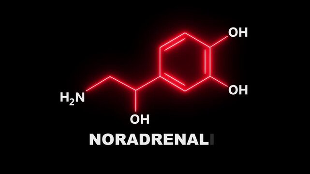 noradrenaline structure