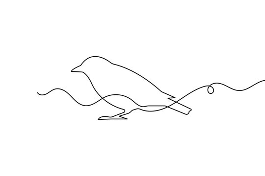 sparrow drawing simple