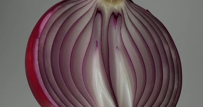 onion layers name