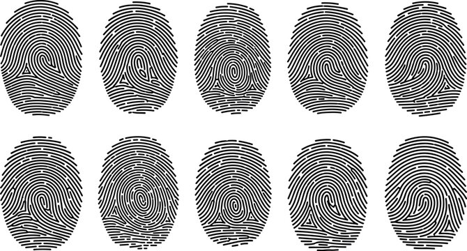 Fingerprint Identification Images – Browse 522,150 Stock Photos ...