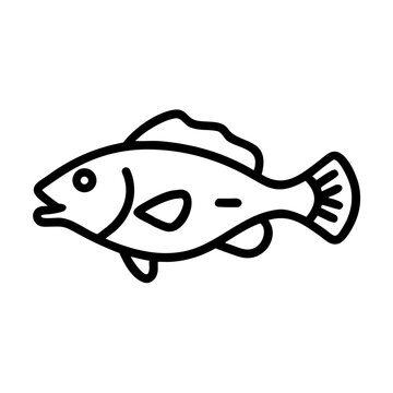 Monkfish Images – Browse 103,554 Stock Photos, Vectors, and Video ...
