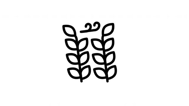 Branch Icon Stock-Videos – 39,451 HD- und 4K-Filmmaterial-Clips | Adobe ...